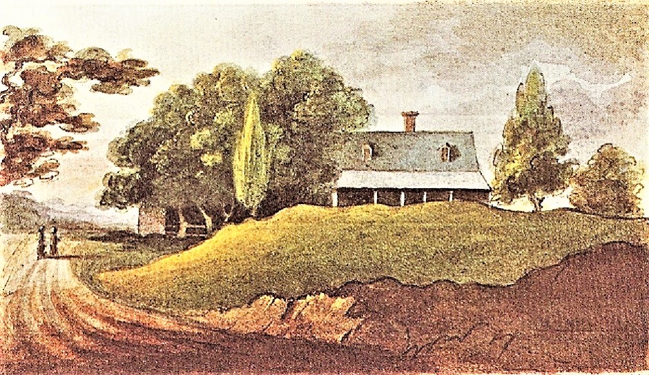 Plants & Gardens in Colonial & Early America: South Carolina - Near ...