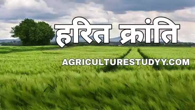 हरित क्रांति (harit kranti) - अर्थ, परिभाषा एवं भारत में हरित क्रांति ...