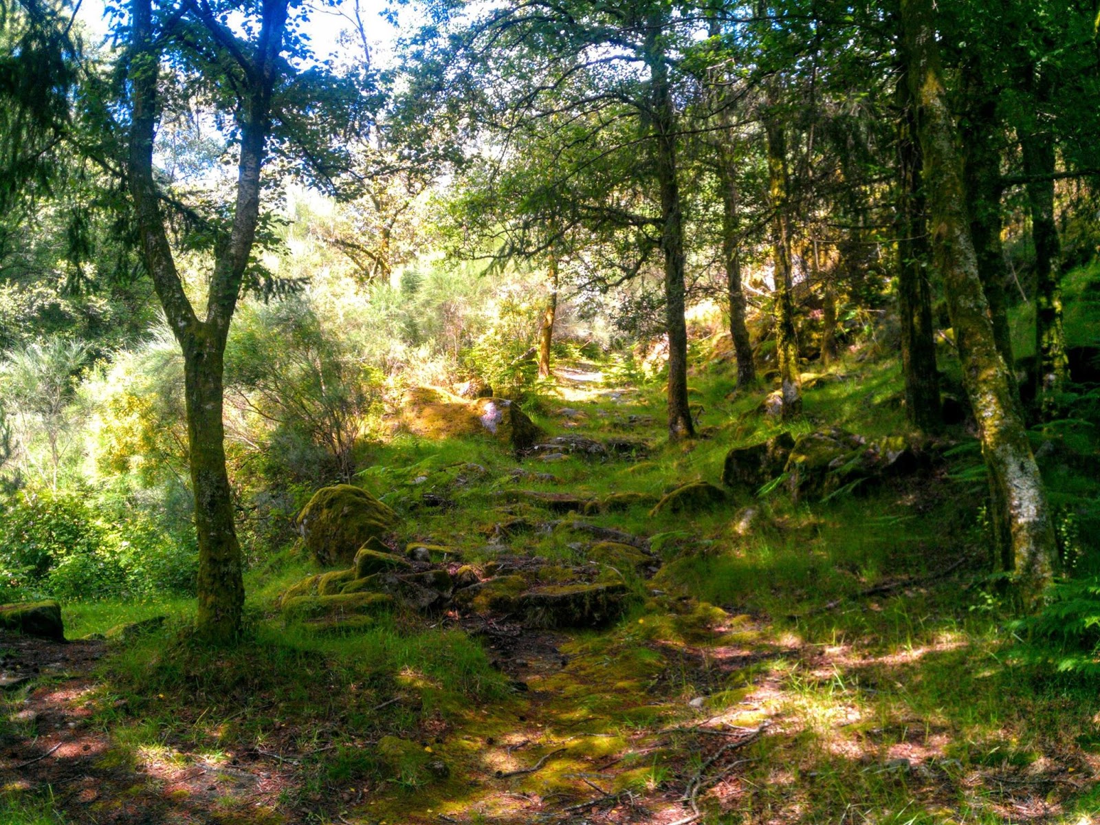 Portugal - Conheça o Mais Belo País da Europa : Lagoas da Travanca ...