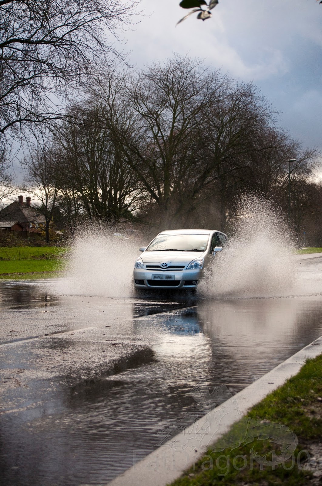 Fatdragon100: Using Photoshop to blur out image details/logos