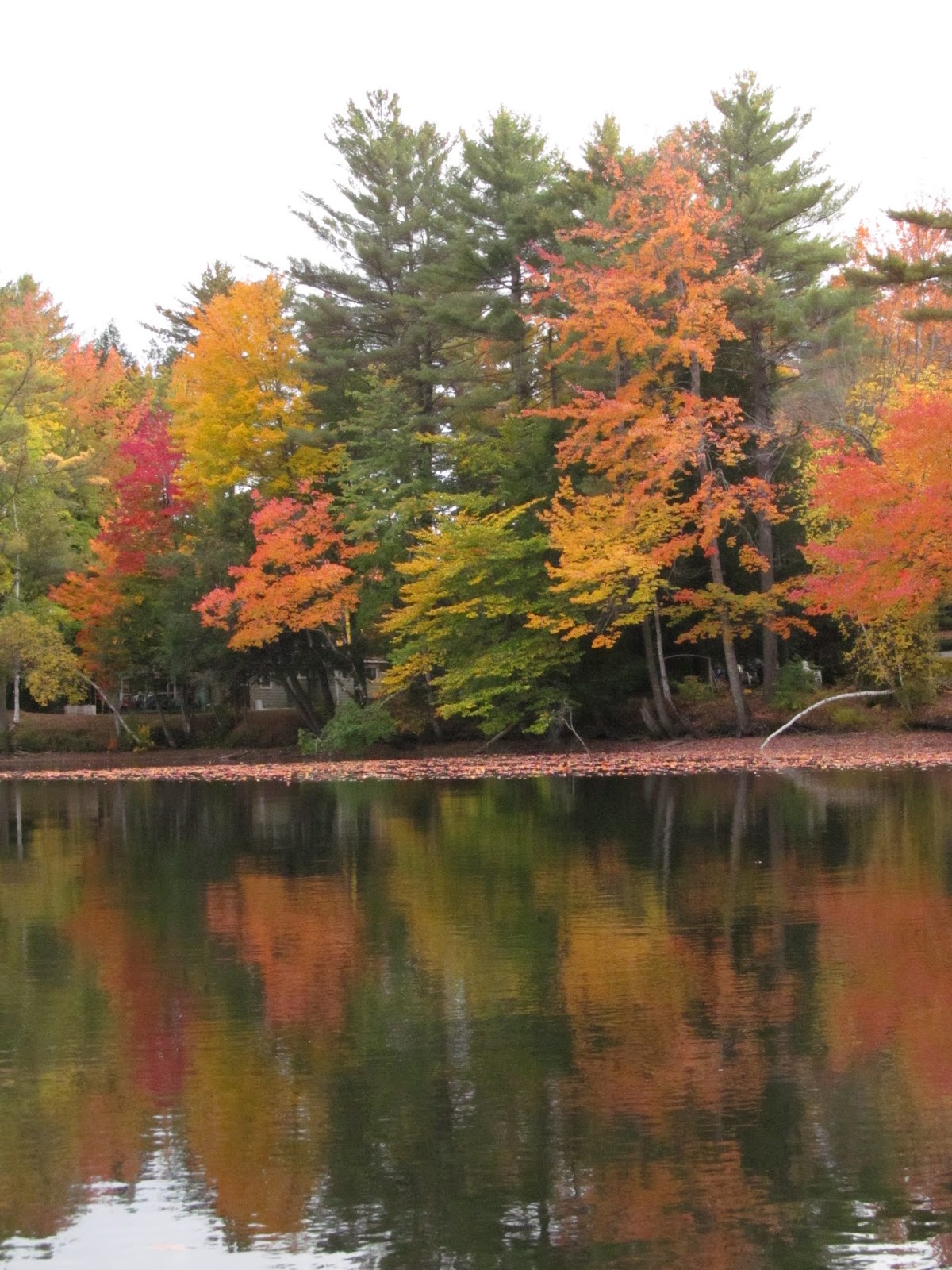 Recreational Kayaking in Maine: Nezinscot River, Turner, Maine
