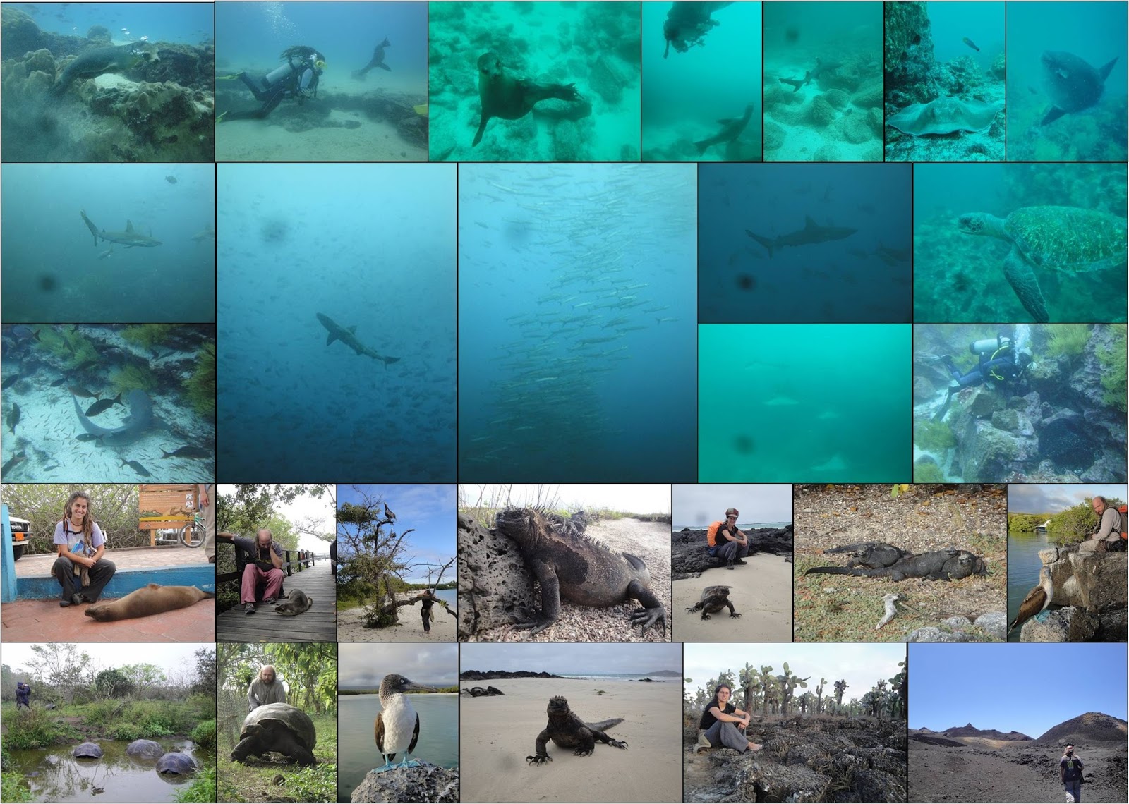 Aventuras de una familia en Centroamérica: 31 DE MAYO. SAHARA UGATZ ...