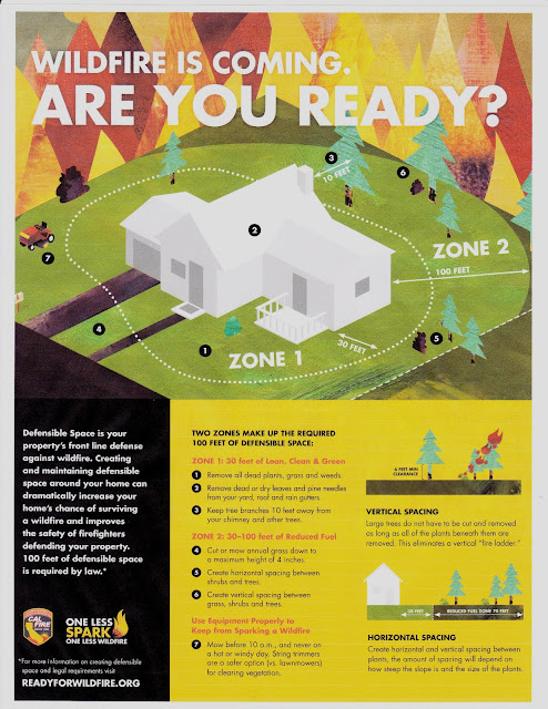 Lakeside Fire District: How is your defensible space?