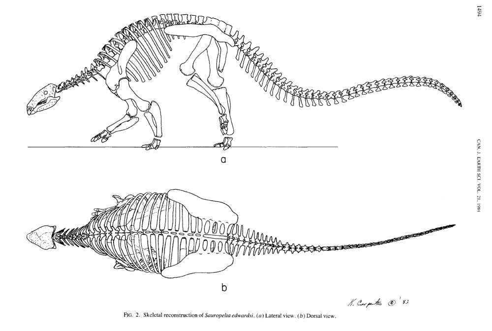 Furahan Biology and Allied Matters: Trying to sculpt a dinosaur ...