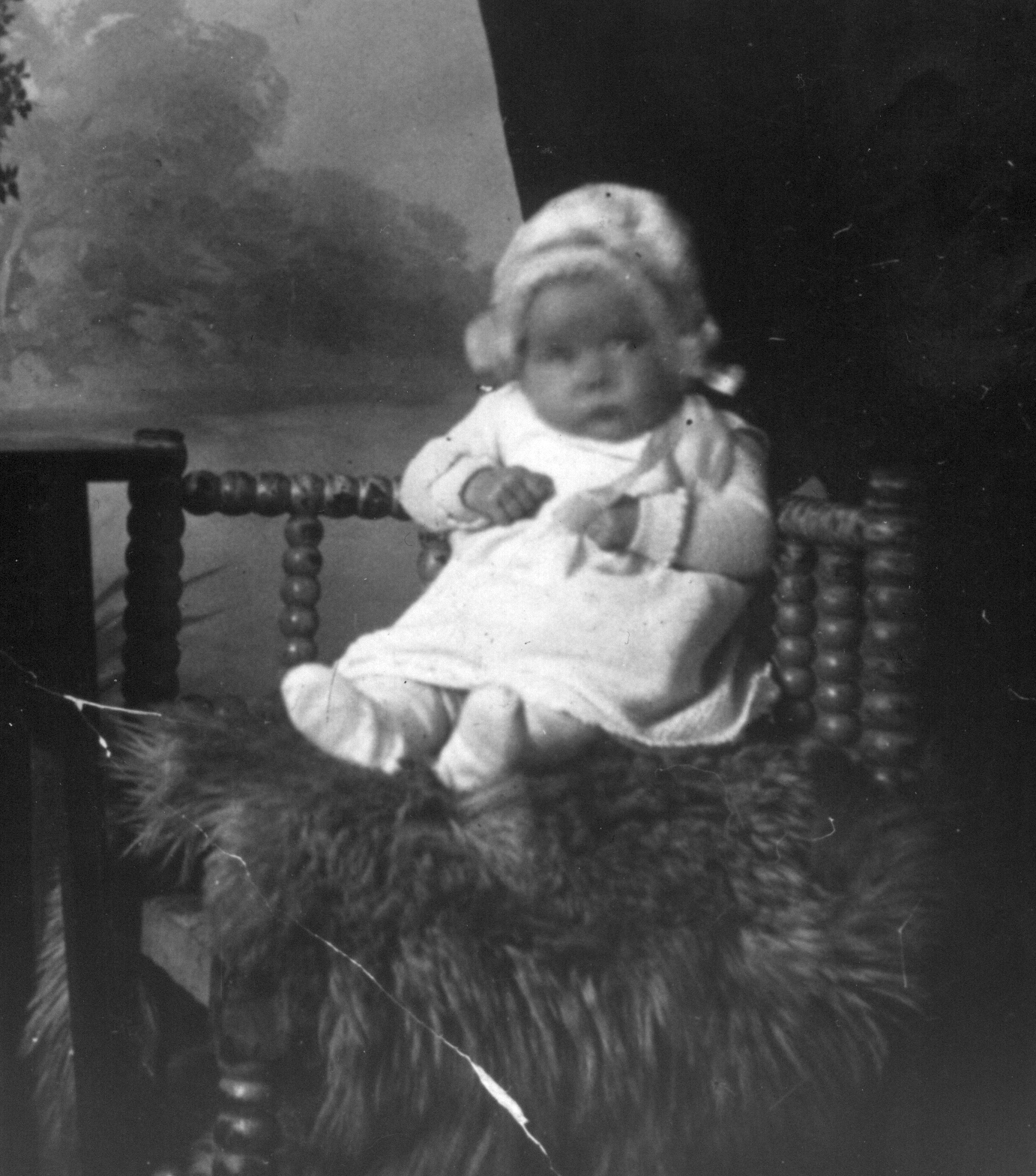 The Chattering Crow: Lodewijk (Louis) Roos