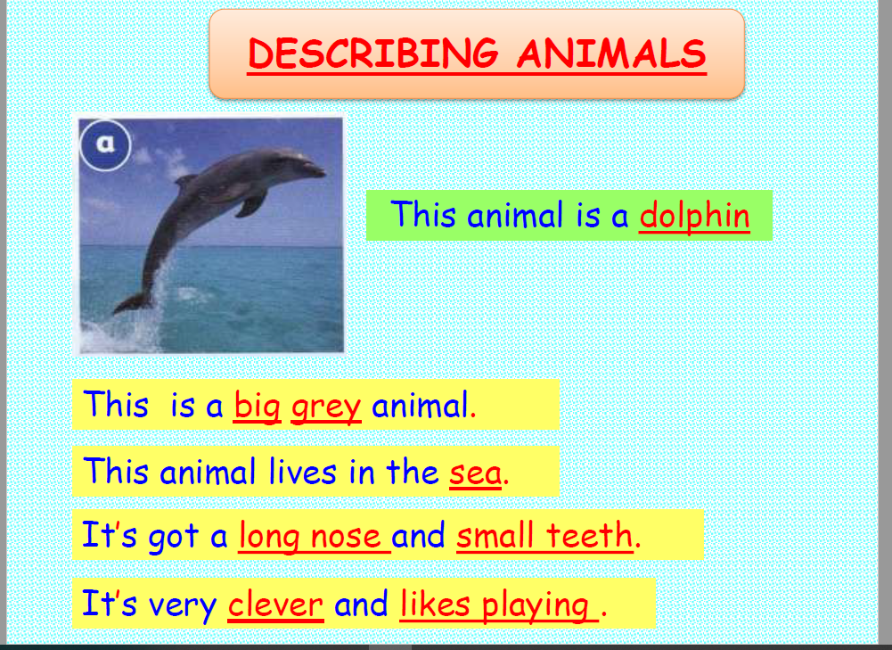 English Web 2.0: DESCRIBING ANIMALS