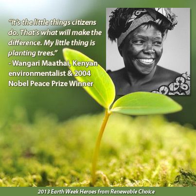 MzTeachuh: Women's History Month: Wangari Maathai