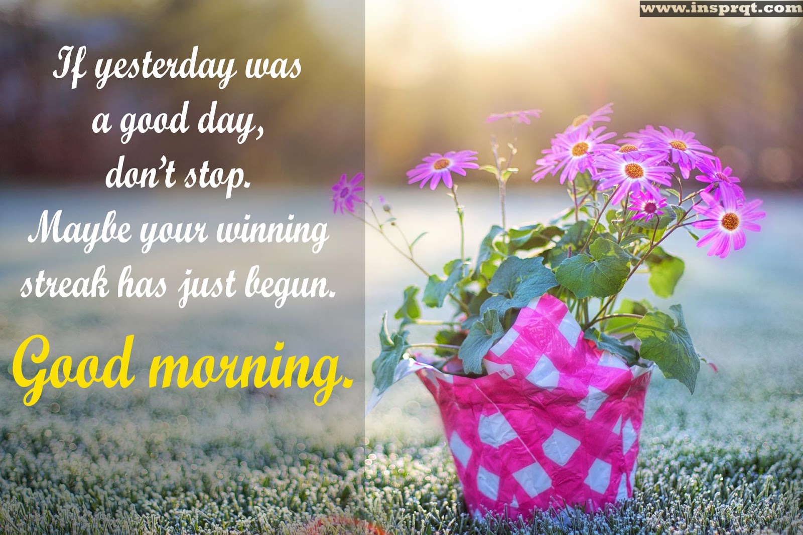 If yesterday was a good day, don’t stop. Maybe your winning streak has ...