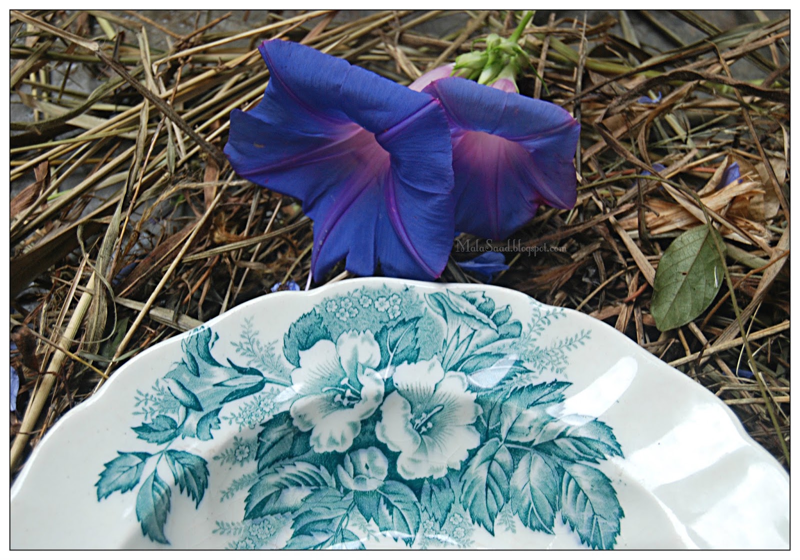 My Green Eye's: Nostalgia Pinggan Lama