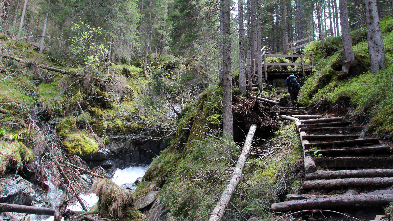 Lago dei Caprioli in val di Sole