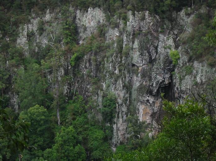 Springbrook National Park, Australia (with Map & Photos)