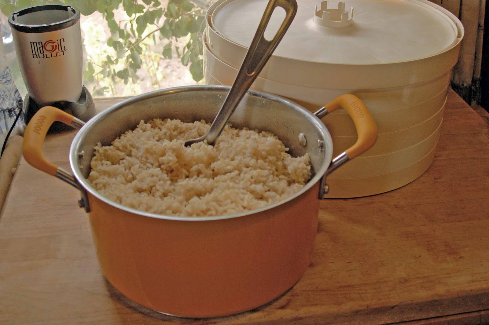 Dehydrating Way Beyond Jerky: Dehydrating Cooked Rice
