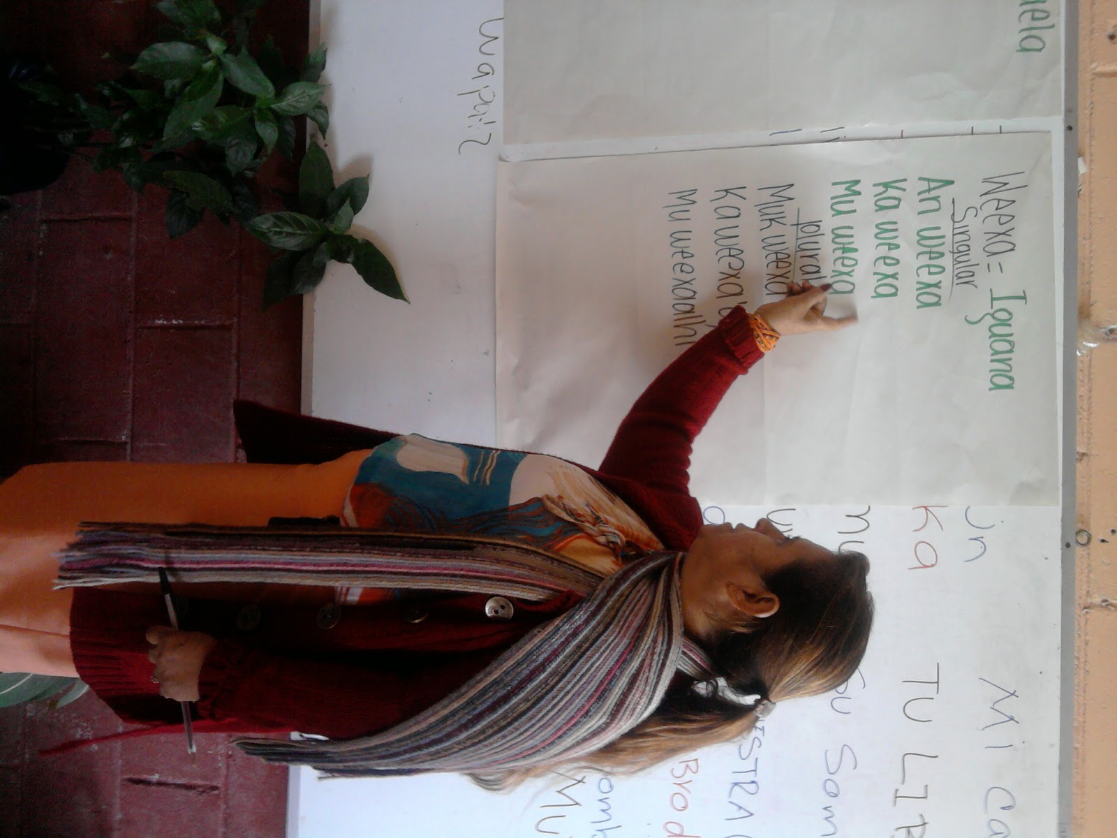 somosxinkas.com: EDUCACIÓN EBI XINKA