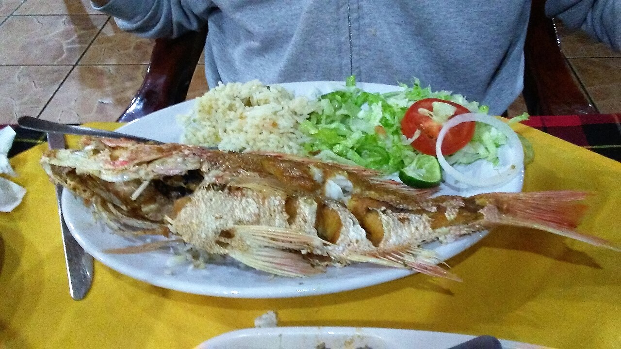 Belize Bound: Coco Loco