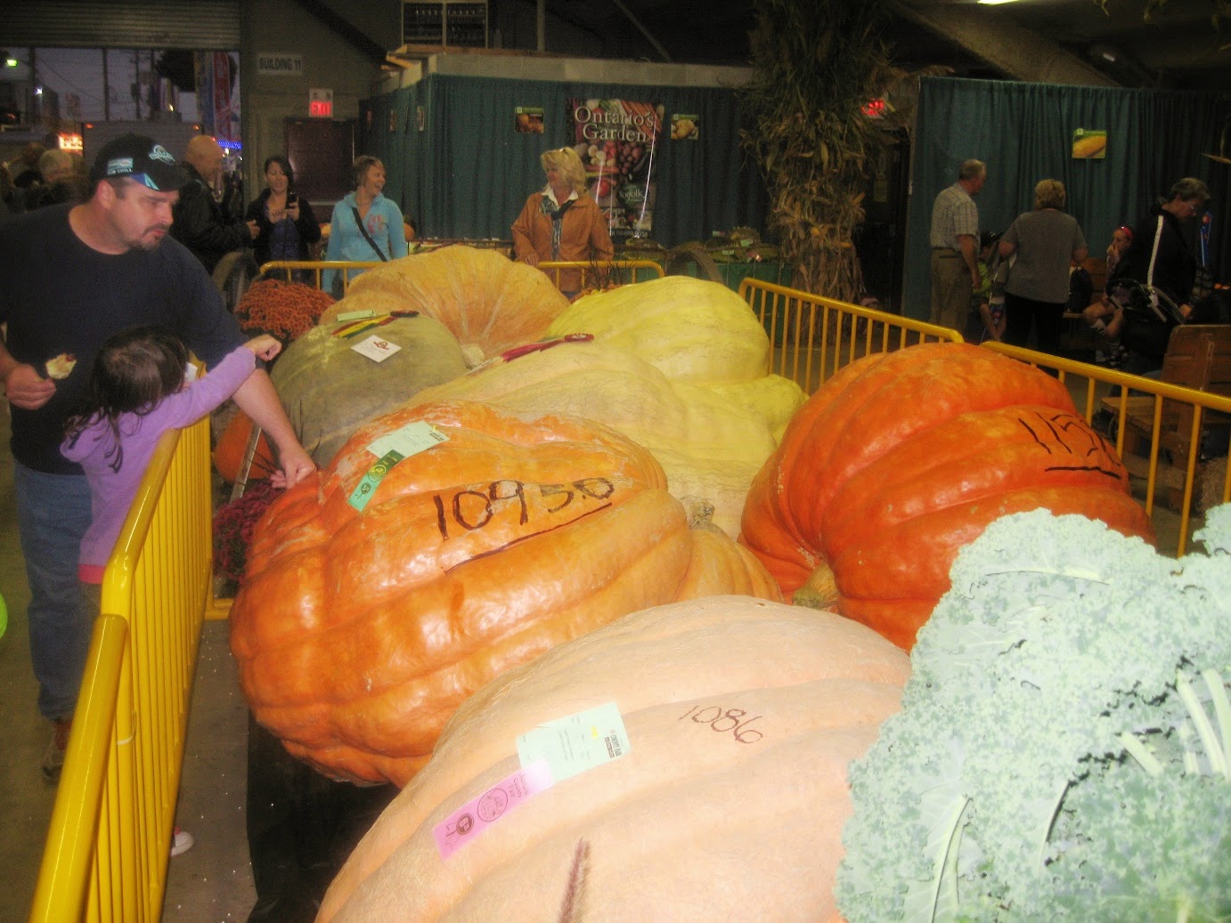 One Tank Trips: Largest pumpkin tips the scales at the Norfolk County ...