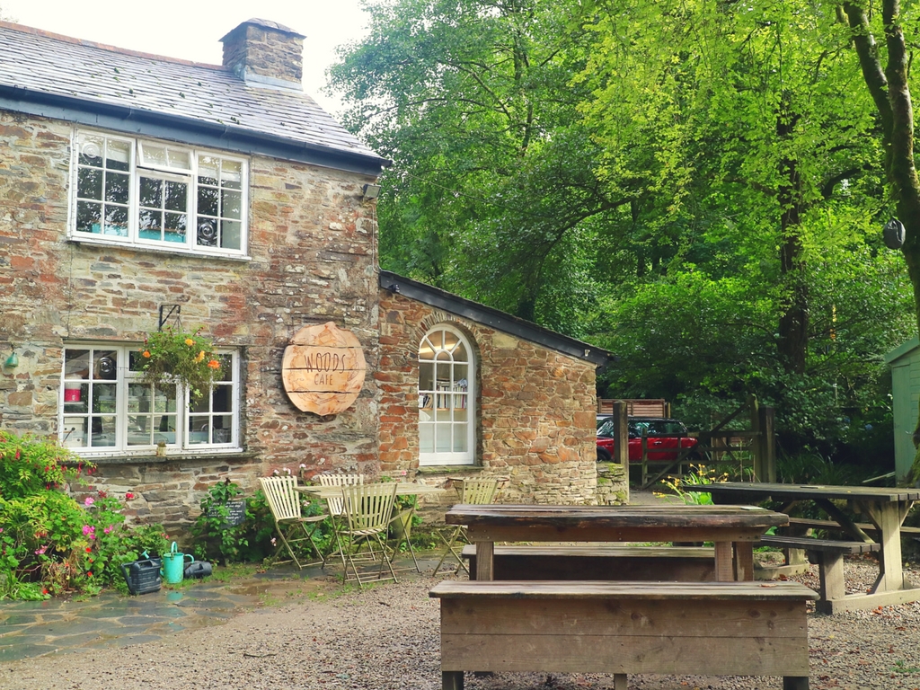 Exploring Cardinham Woods | The Freckled Fieldnotes