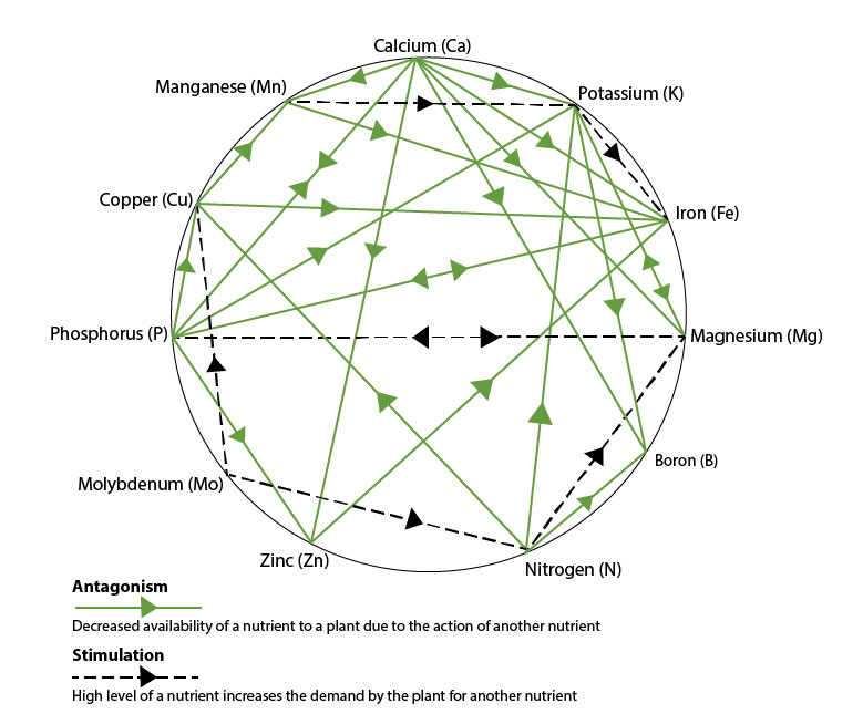 Een ontdekkingsreis in de wereld van voedsel, bodem en water ...