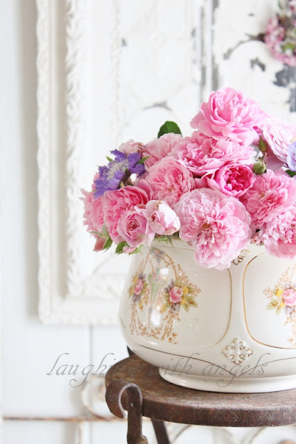 laughing with angels: Roses