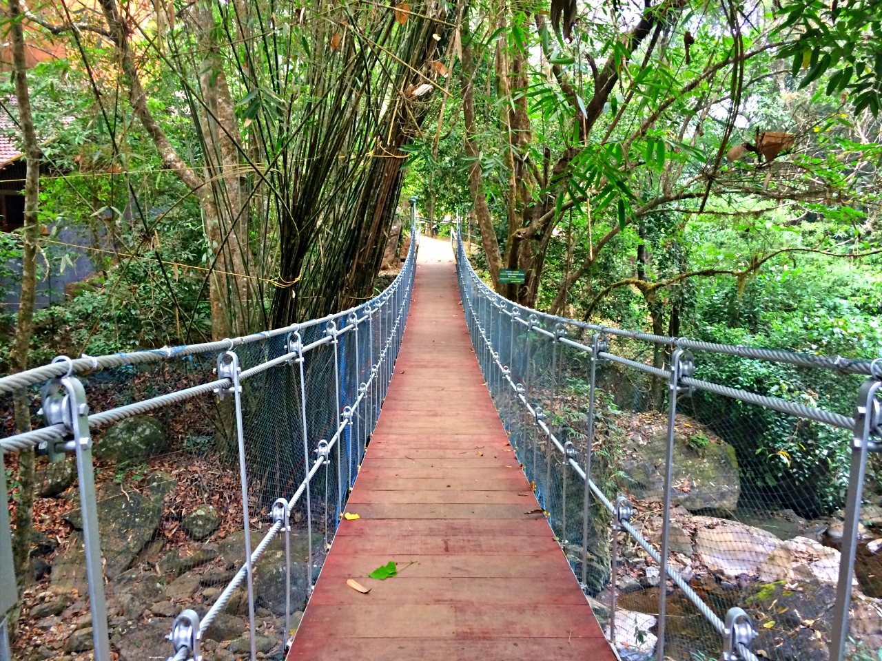 Embracing Nature at Vythiri Resort | Kerala, India - Nomadic Experiences