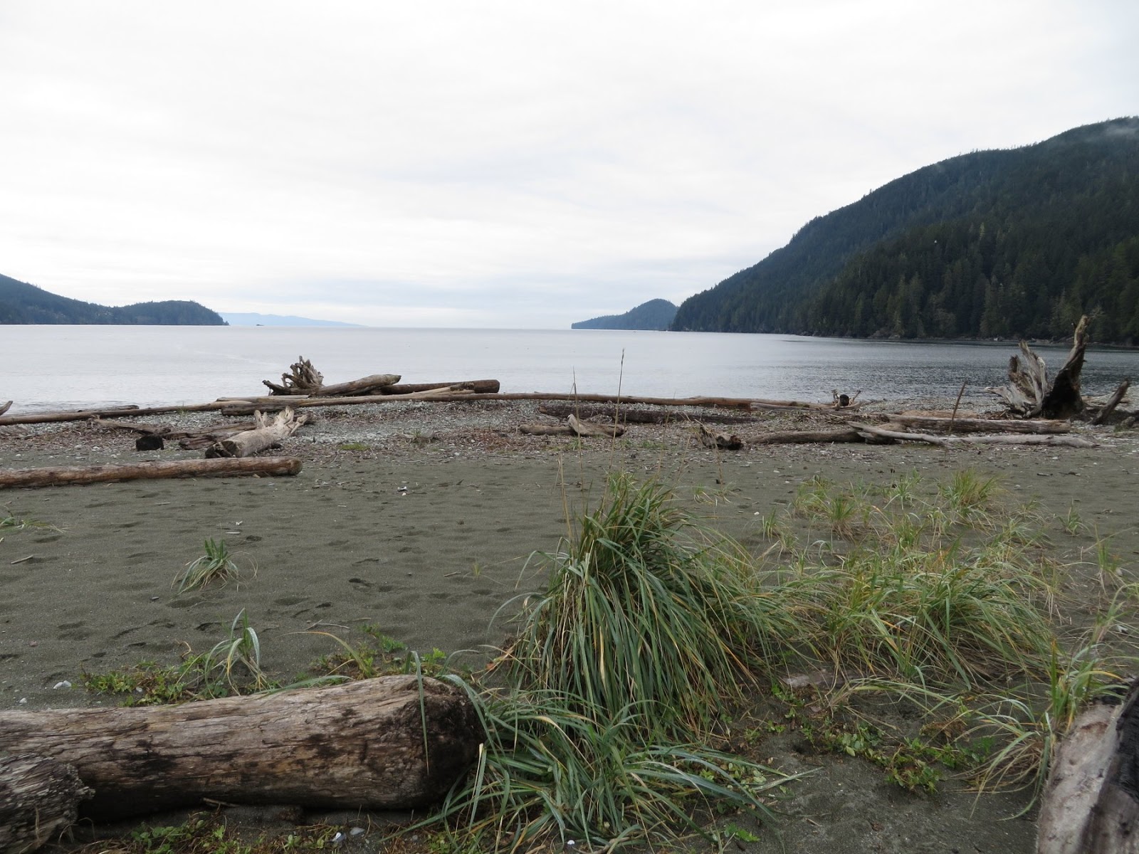 Gravel Beach: Pacheedaht Beach