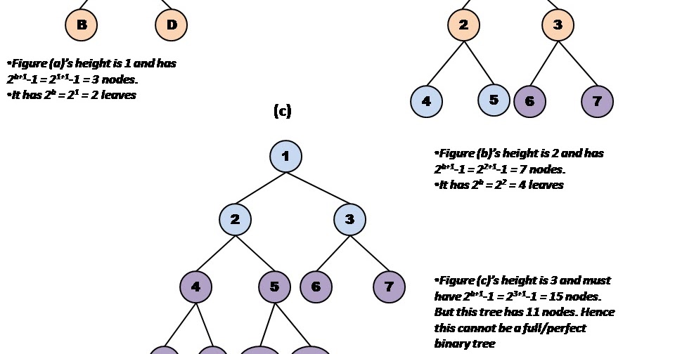 Advanced Database Management System Tutorials And Notes Full Binary Tree In Binary Tree Data