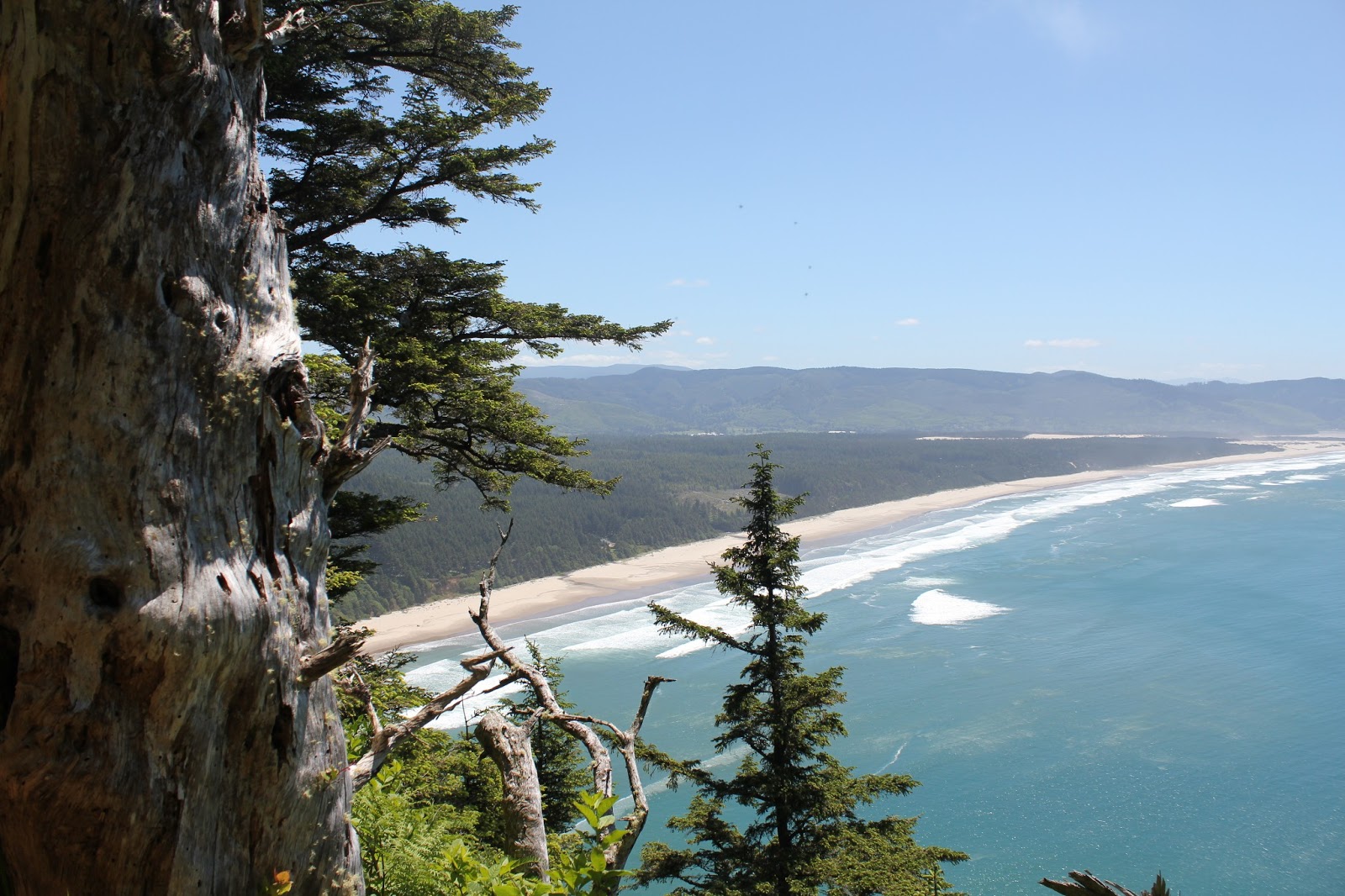 Oregon Coast – Where Trees Meet Seas | Motherhood and More