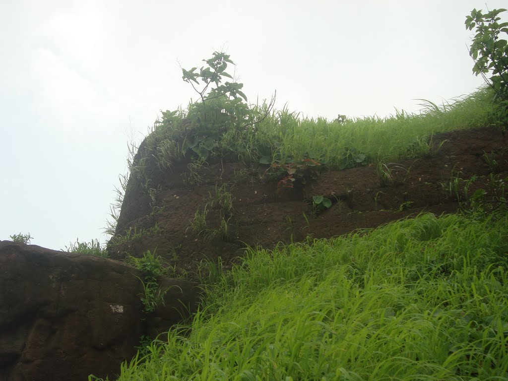 Trekking In Maharashtra: Songiri Fort a.k.a Palasdari Fort (किल्ले ...