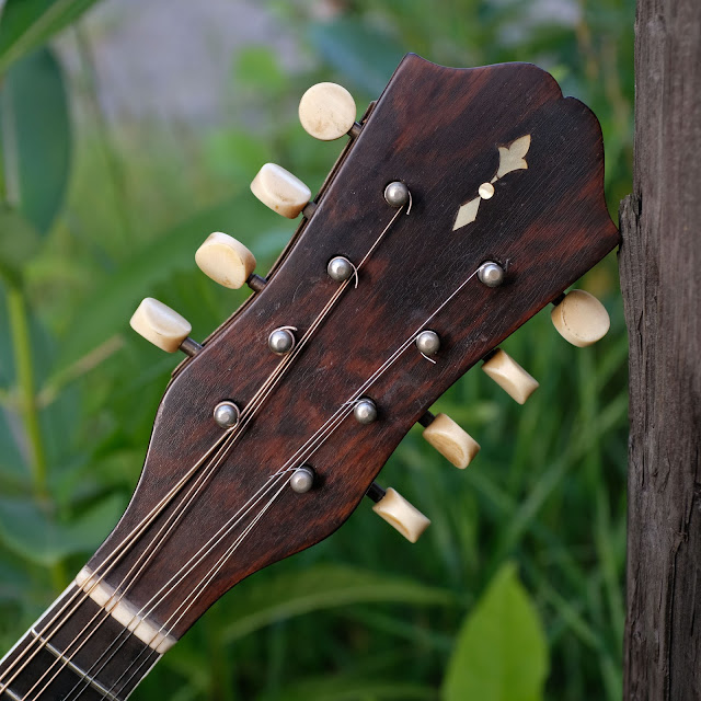 1910s Larson Brothers-made Fancy Flatback Mandolin
