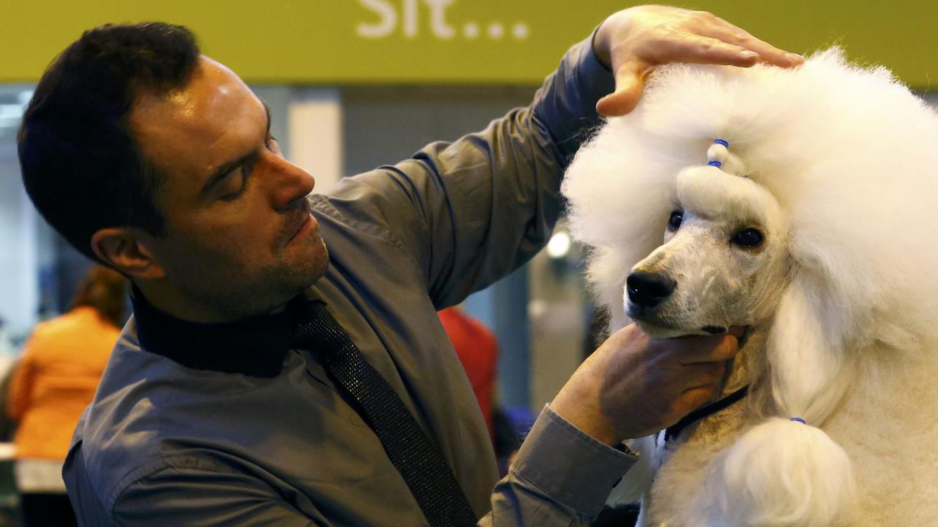 NUNCAJAMAS COCKER: DIME CÓMO JUZGAS Y TE DIRÉ QUE TIPO DE JUEZ ERES ...