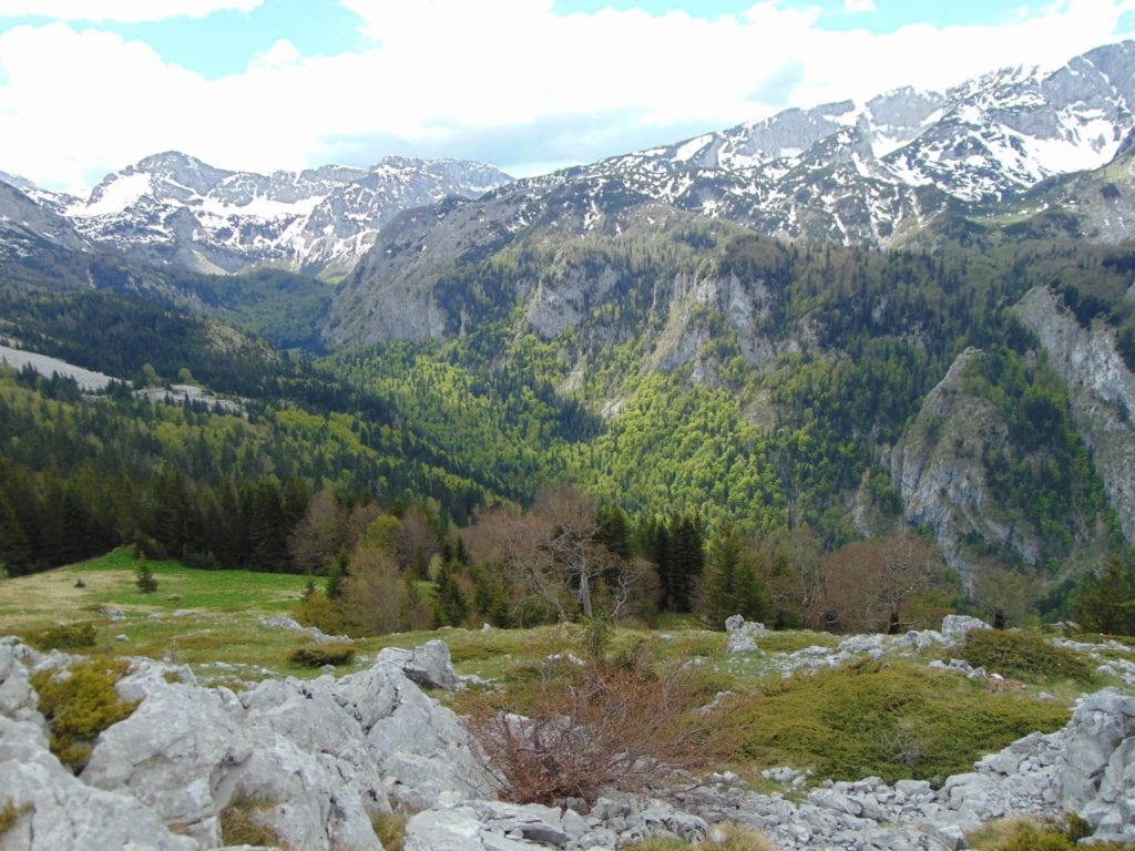 Sutjeska National Park, Bosnia and Herzegovina (with Photos)