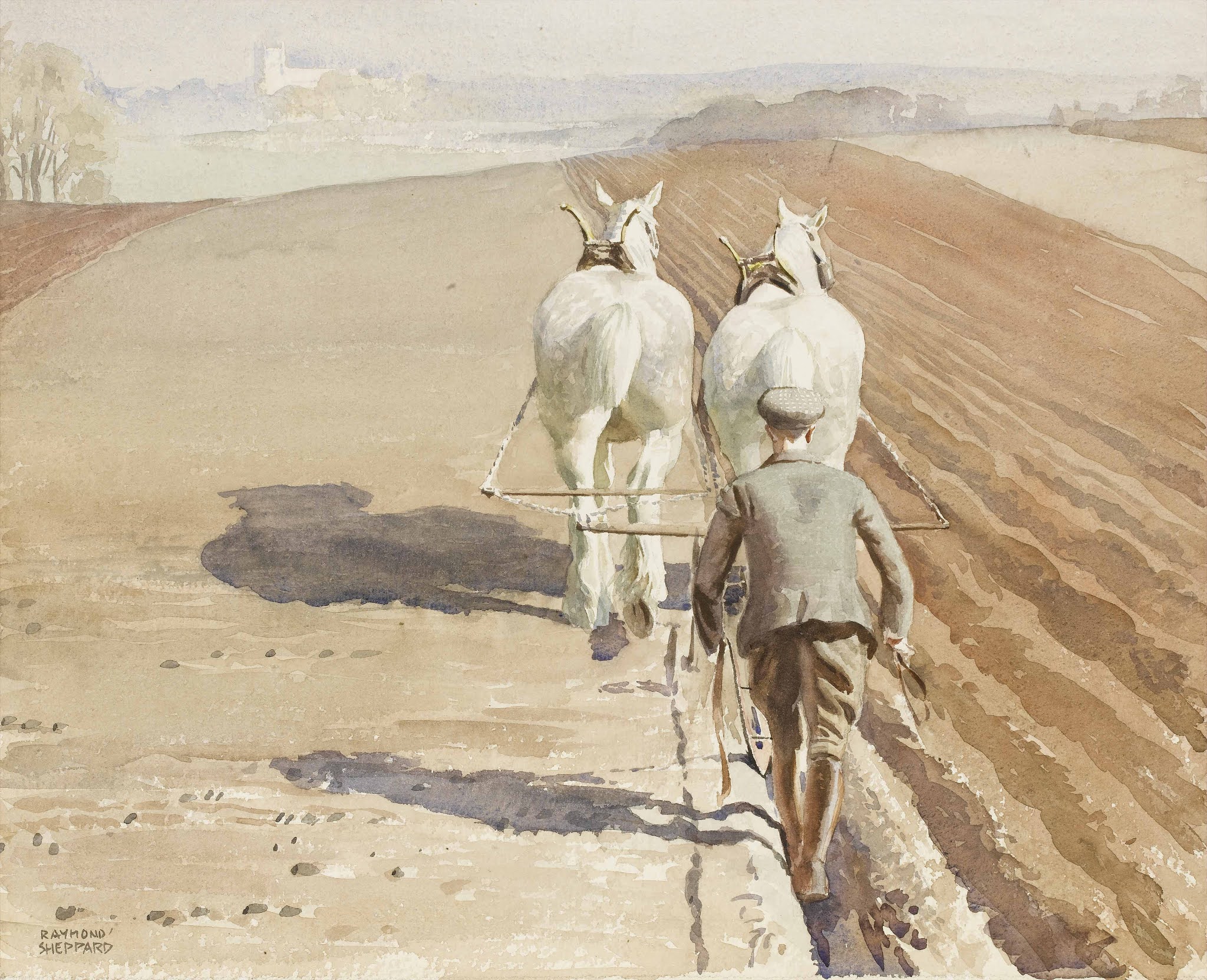 Raymond Sheppard Illustrator