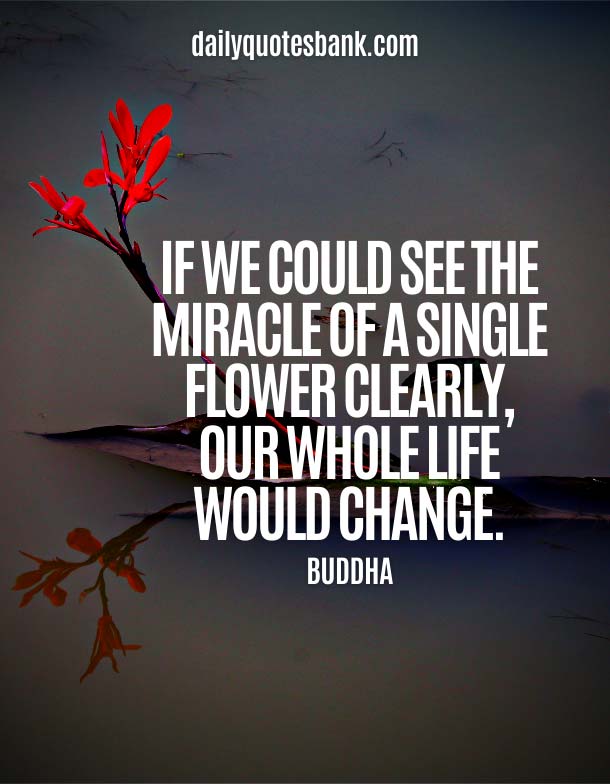 111+ Inspirational Quotes About Miracle Of Life