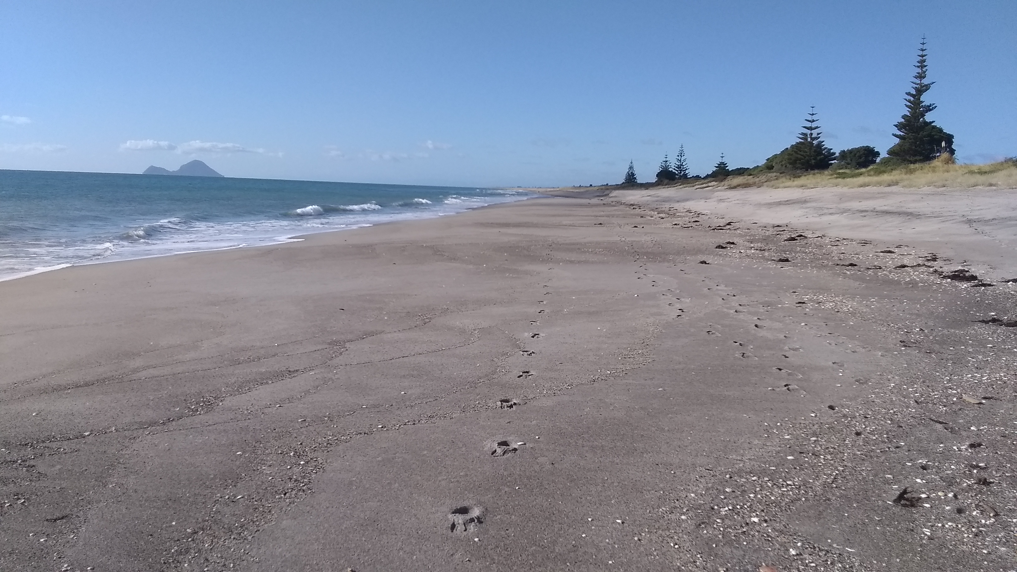 Matata Wildlife Lagoons and Beach: Winter Walk