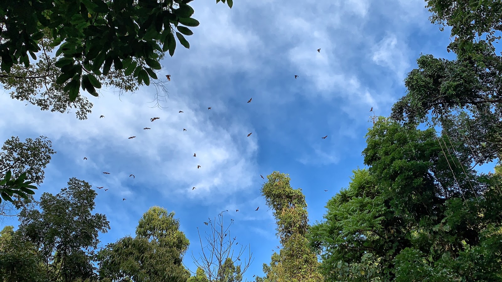 What Mary Loves: When in Bacolod: Mambukal Hot Springs