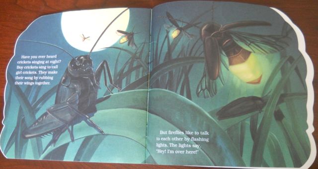 Blue Sky, Big Dreams: Books Gone Buggy