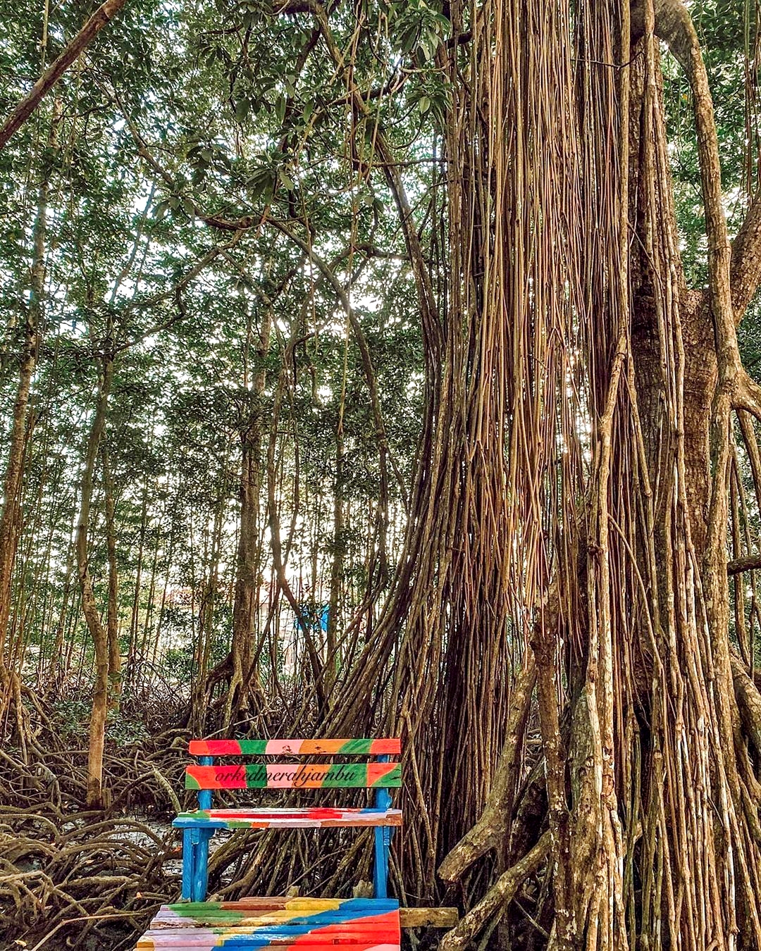 Pitas Bay View Sabah Malaysian Borneo (36 Photos)