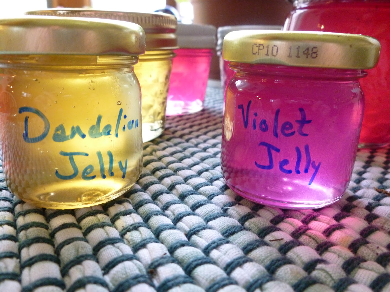 Recipes For Tomorrow!: Preserving Goodies