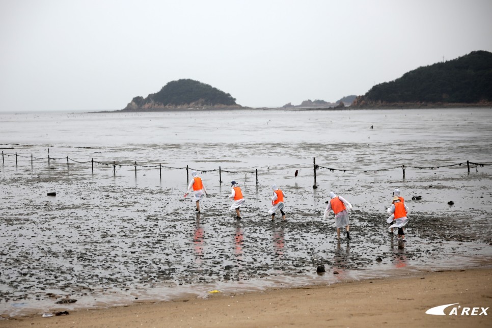 AREX: [Incheon] Yeongjongdo Masian Mudflat Experience
