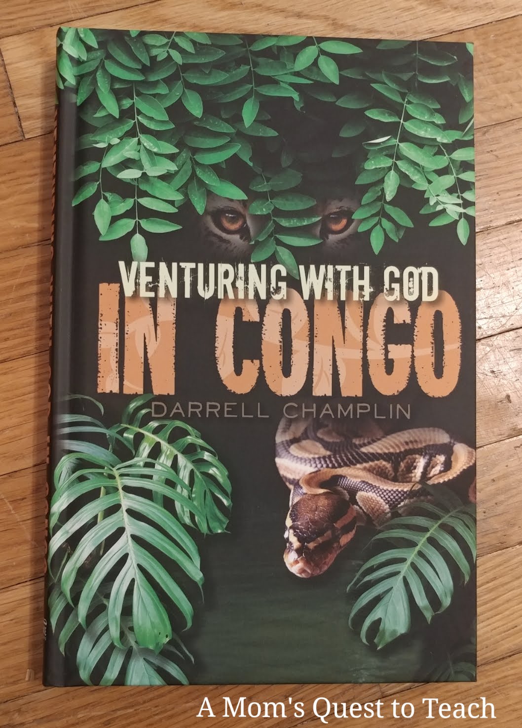 A Mom's Quest to Teach: Book Club: Book Review of Venturing with God in ...