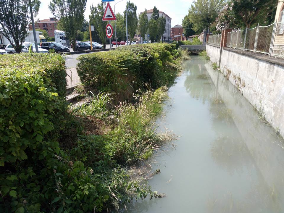 MAURO AT LARGE: IL COITO INTERRUPTUS DI VIALE 9 MARTIRI A CRESCENTINO