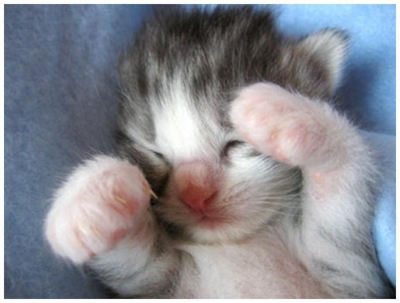 CHIC LOLLIPOP: ELLOS TAMBIÉN SIENTEN