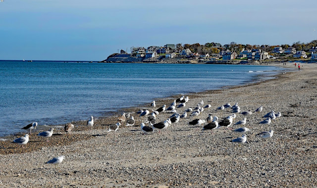 Joe's Retirement Blog: Out and About, Manomet, Plymouth, Massachusetts, USA