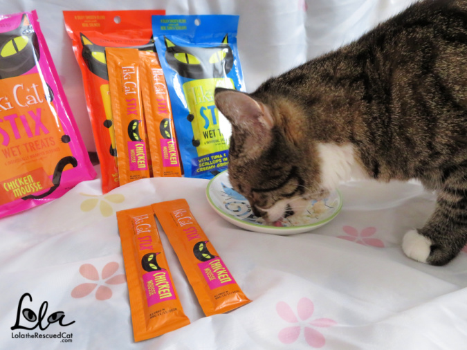 Tiki Cat Stix and Broths Will Transform Your Cats Meals - Review and ...
