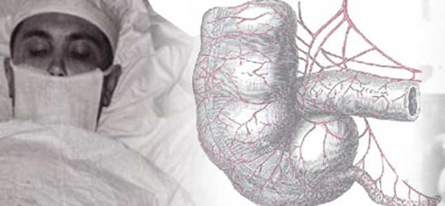 Angry Angry Guru: Leonid Rogozov 1961 Self Appendix Operation