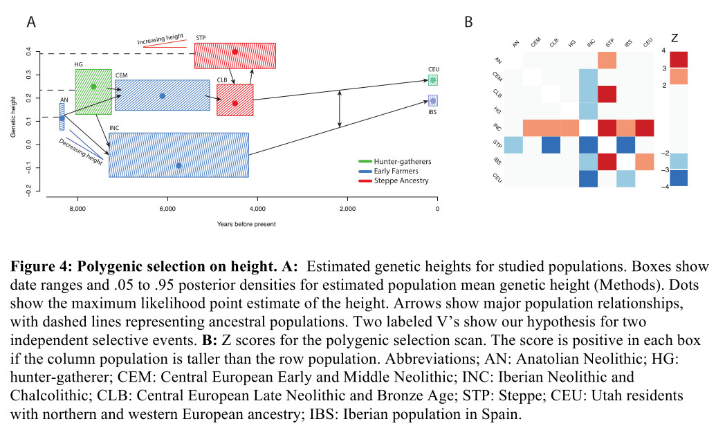 race/history/evolution notes: "Eight thousand years of natural ...
