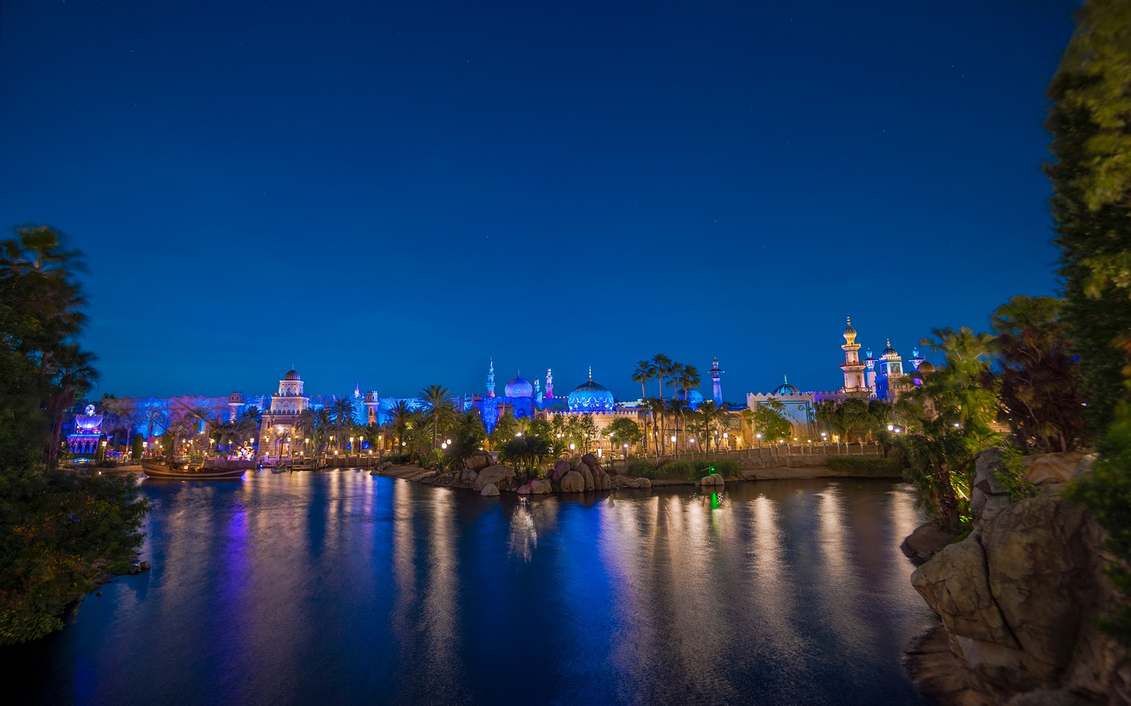 Night Along the Coastal Oasis