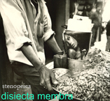 stenopeica project: Produzioni musicali