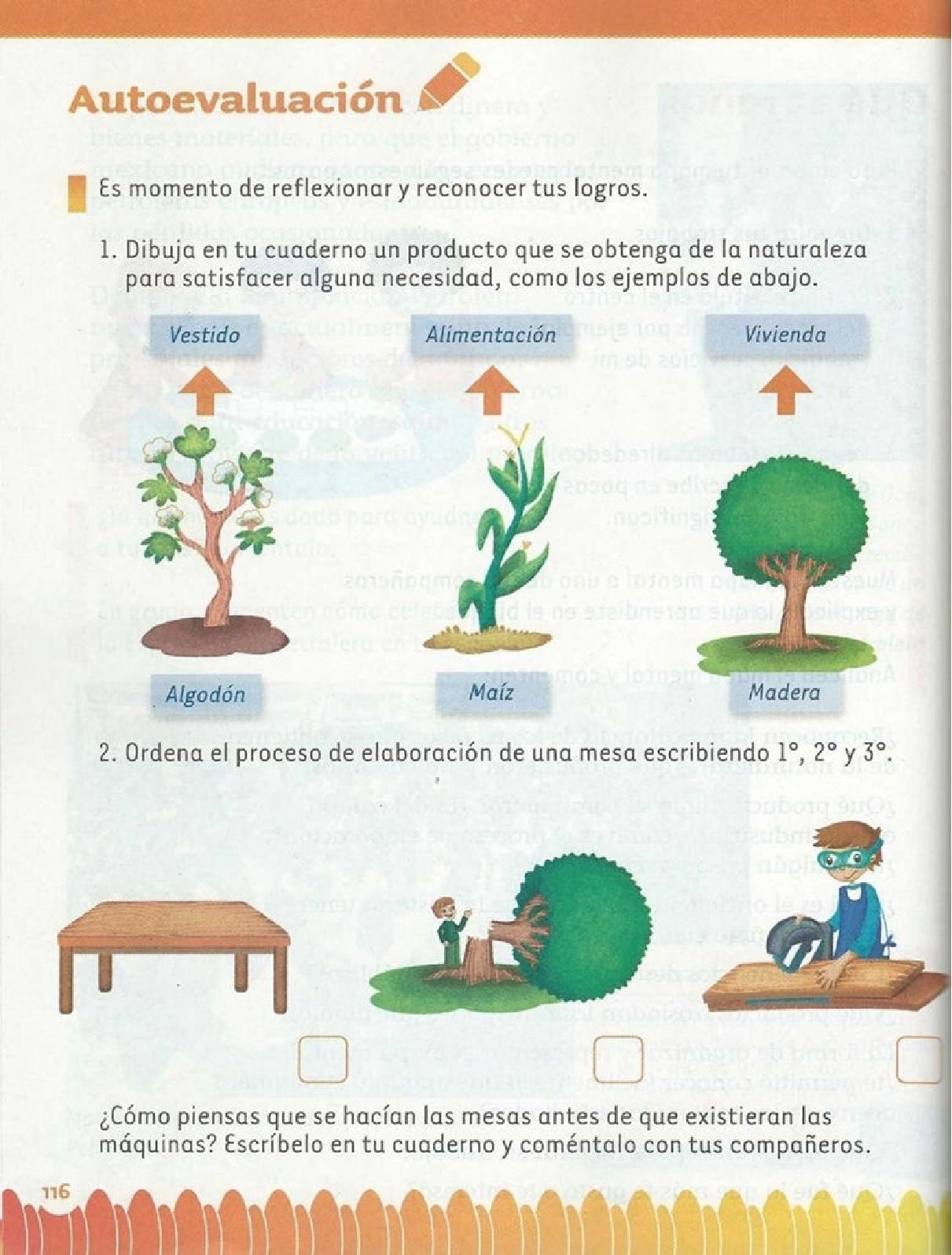 Autoevaluación - Bloque IV - Exploración de la Naturaleza - 2do ...