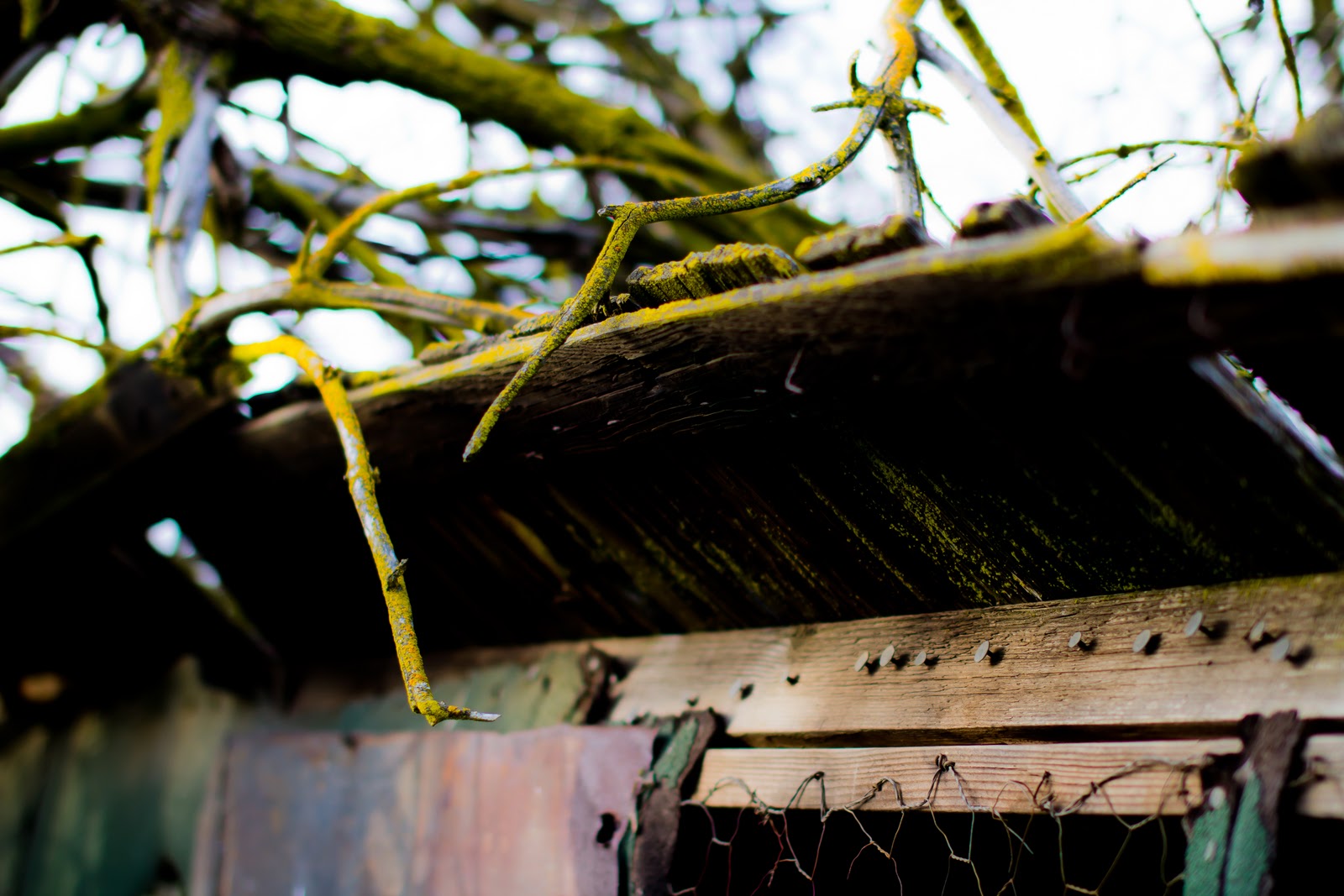 Marc Ewalt Photography