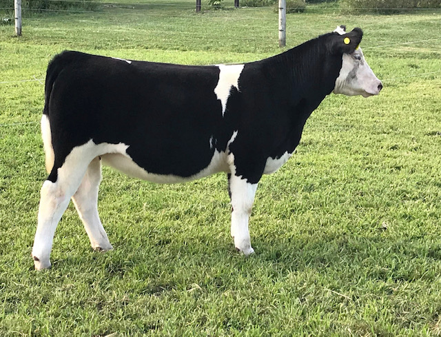 RCC Blog: Adam or Ryan Mattocks Selling Tonight!